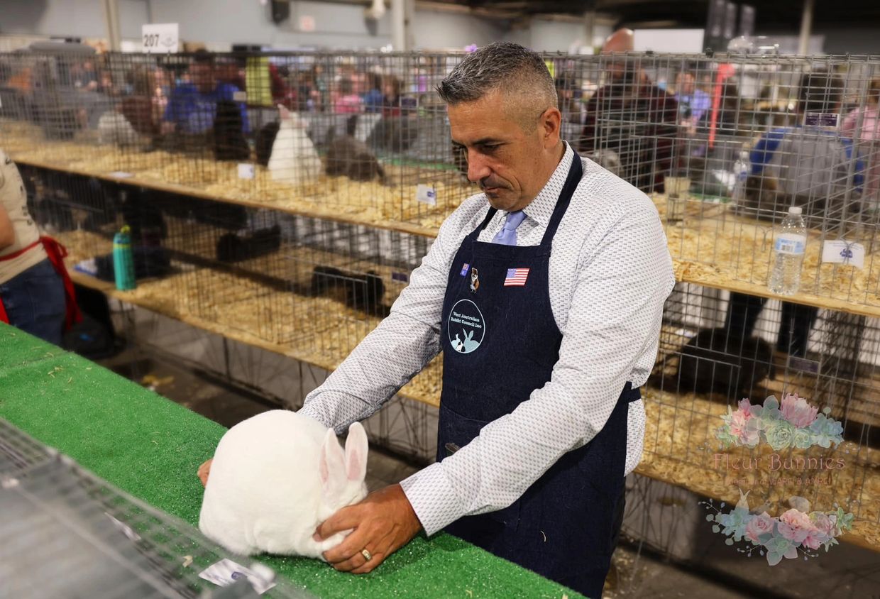 How to become a judge