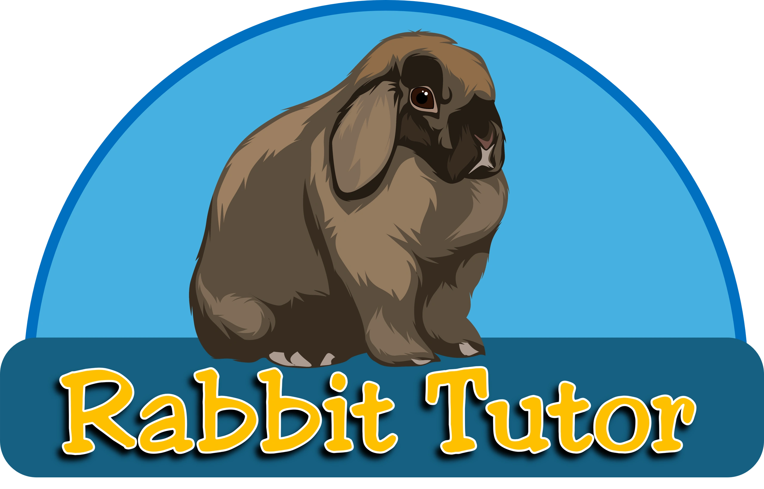 Body Weight & 4/6 Class