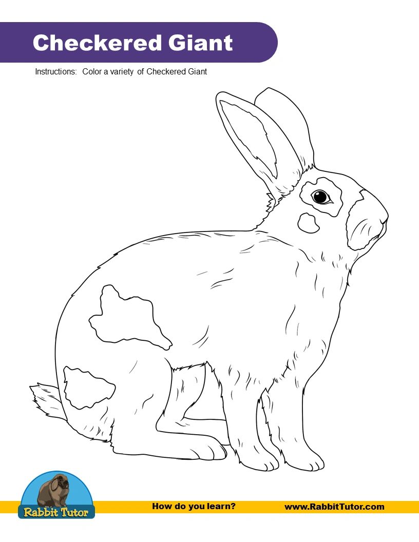 Checkered Giant Coloring Page