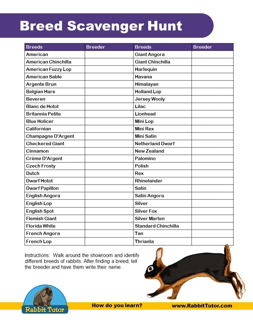 Breed Scavenger Hunt