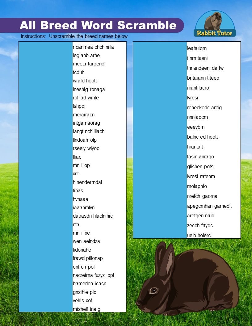 All Breed Word Scramble