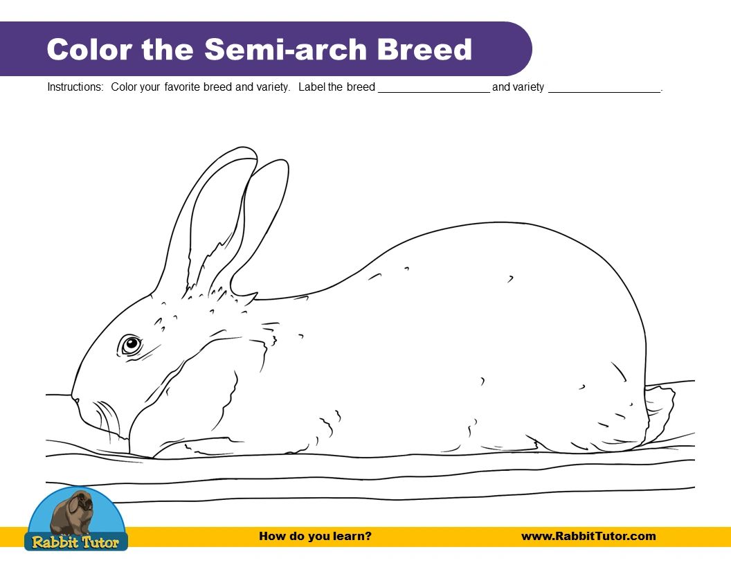 Semi-arch coloring page