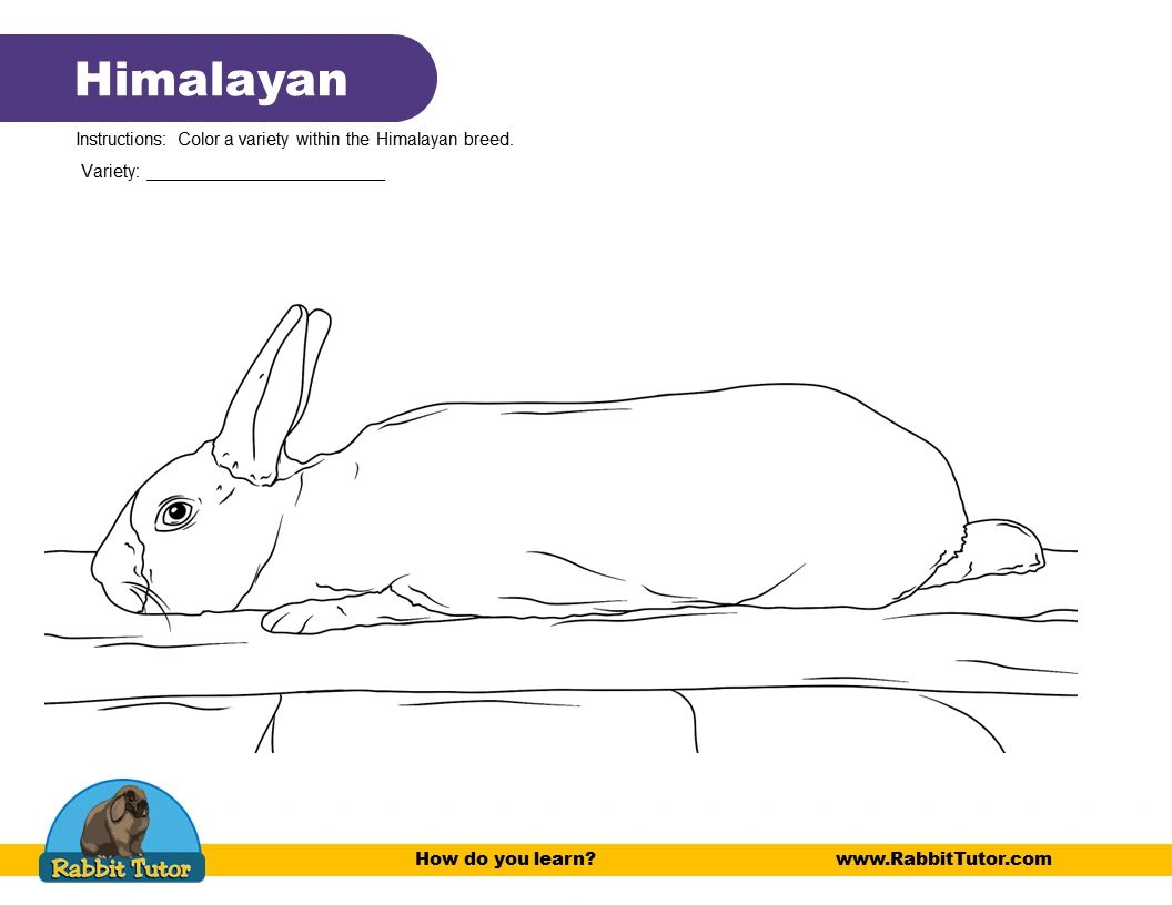 Himalayan Coloring Page