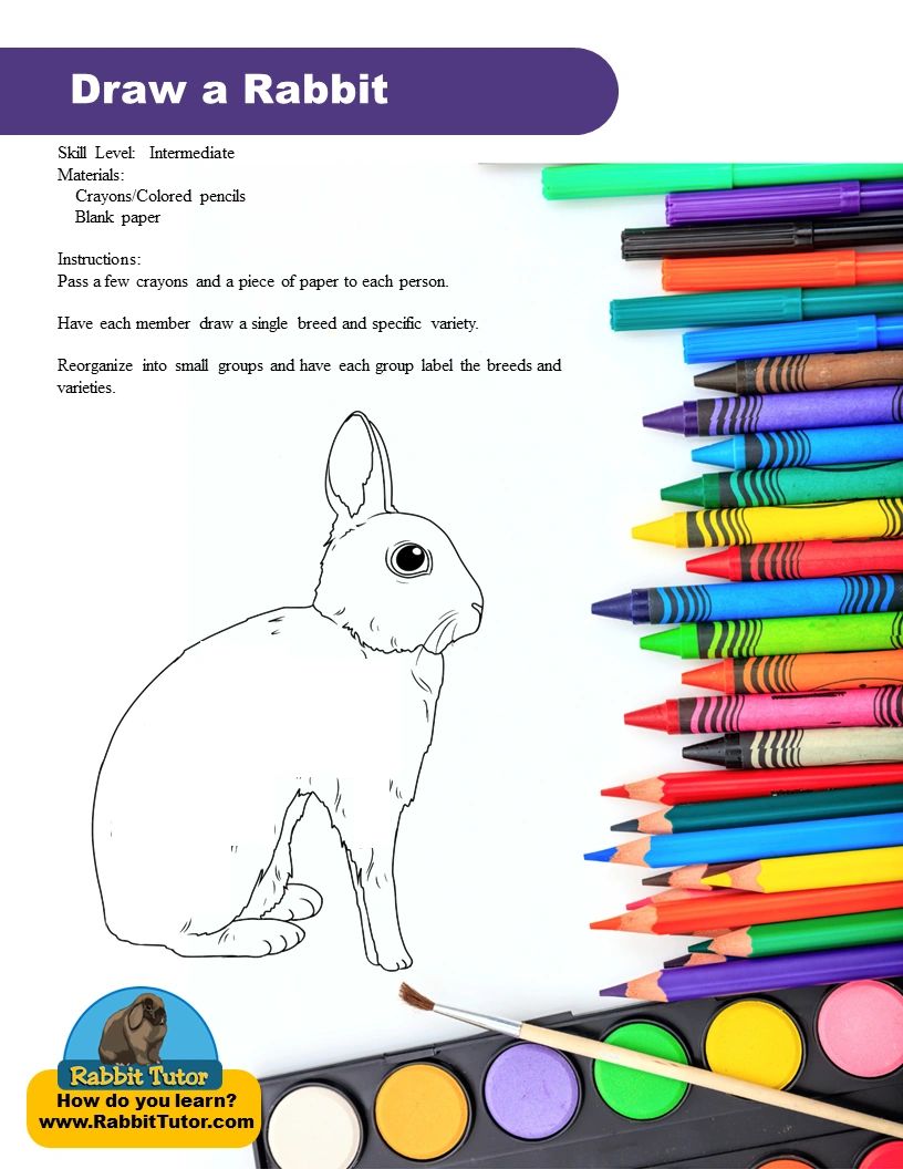Draw a rabbit