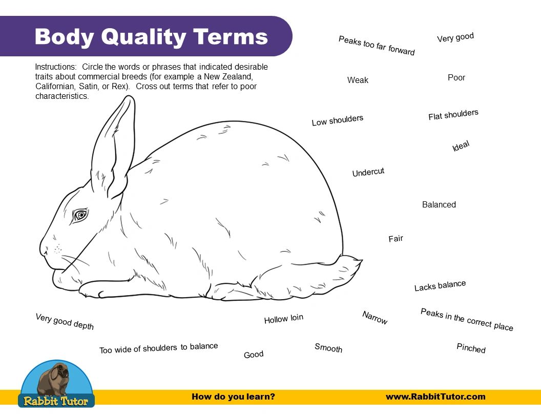 Judging Body Quality Terms