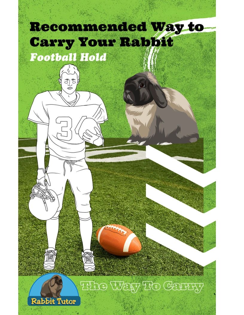 Recommended Way to Carry Your Rabbit