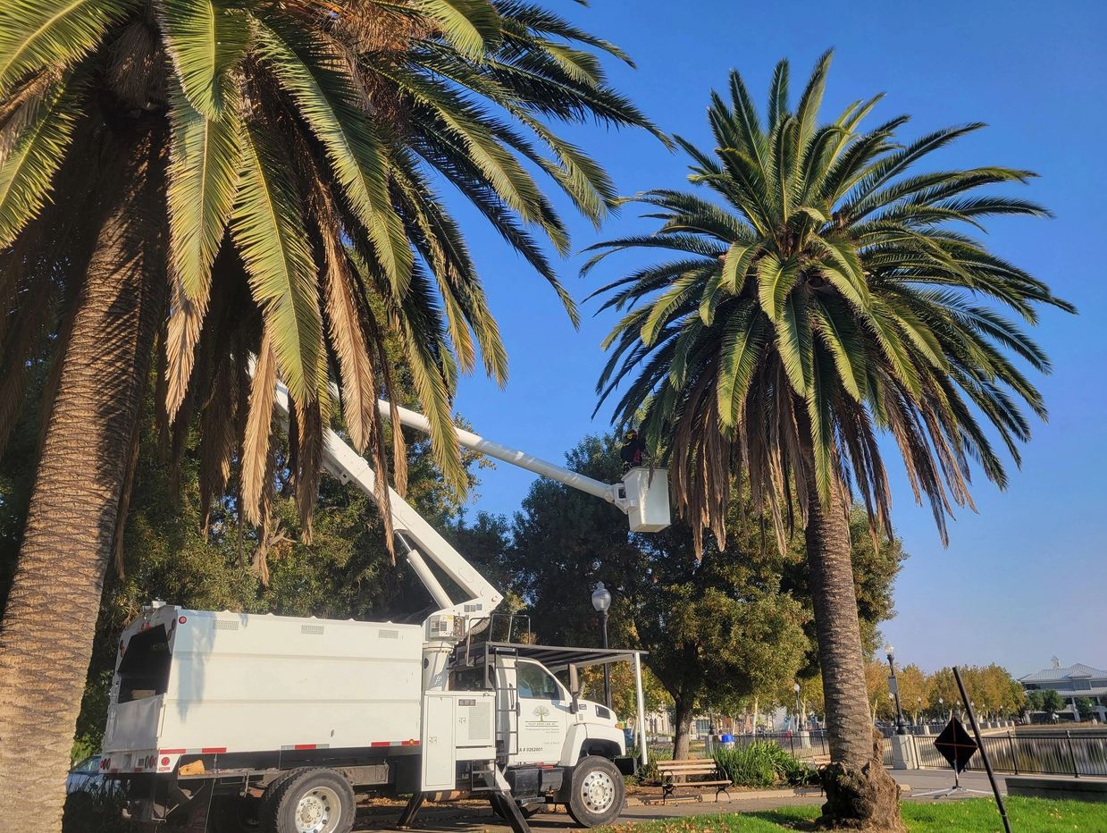 Valley Tree Service