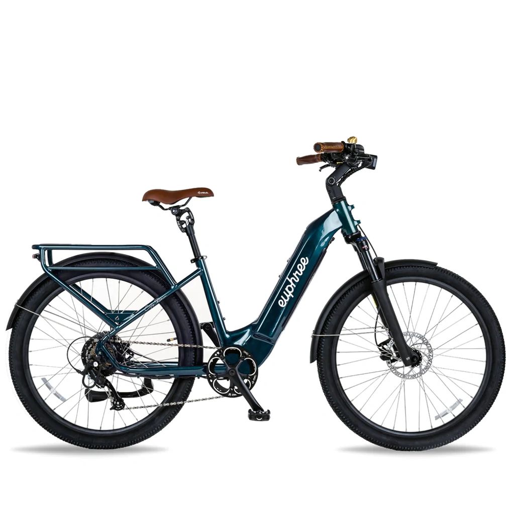 Bostonebikes in Brookline, Massachusetts