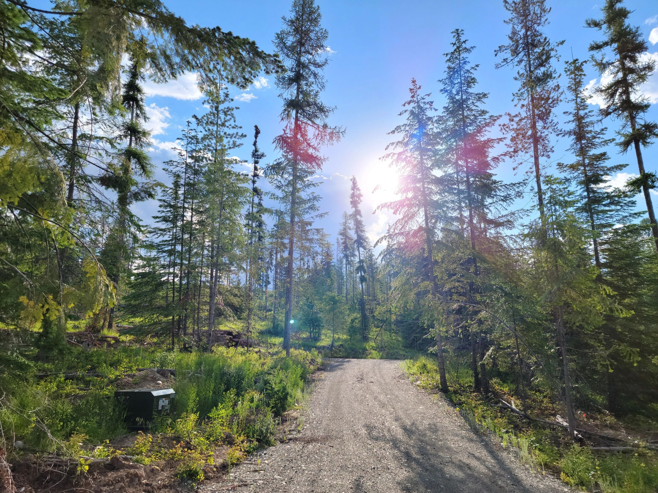 Lakes & Campgrounds Near Colville Washington