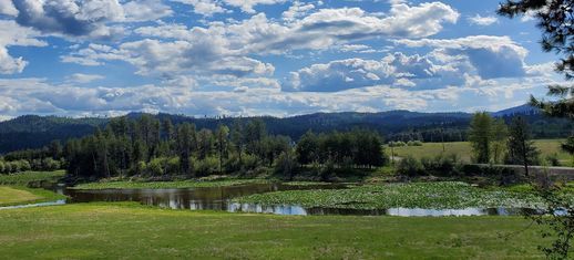 Spokane County Properties