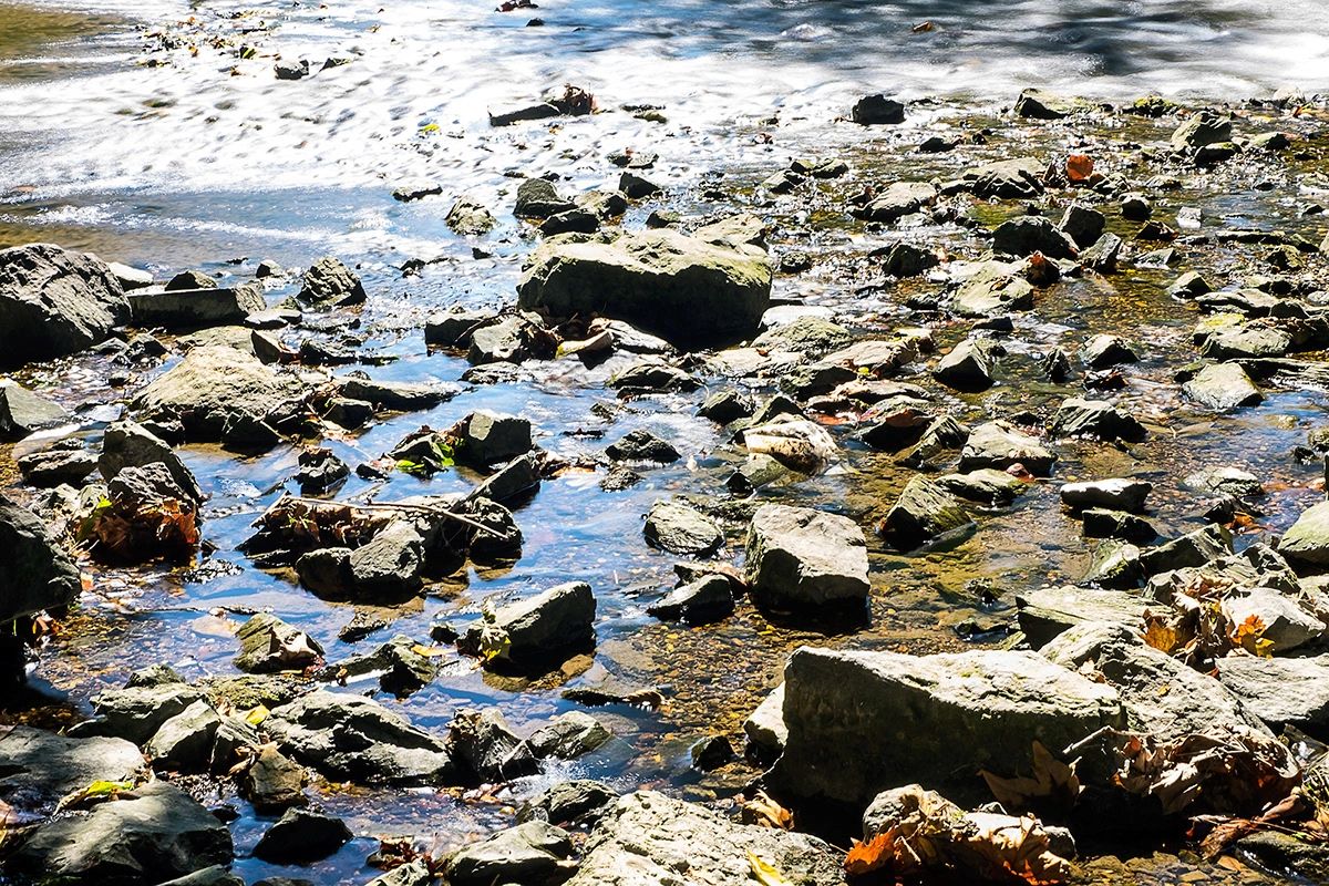 Cody J Kjos Portfolio