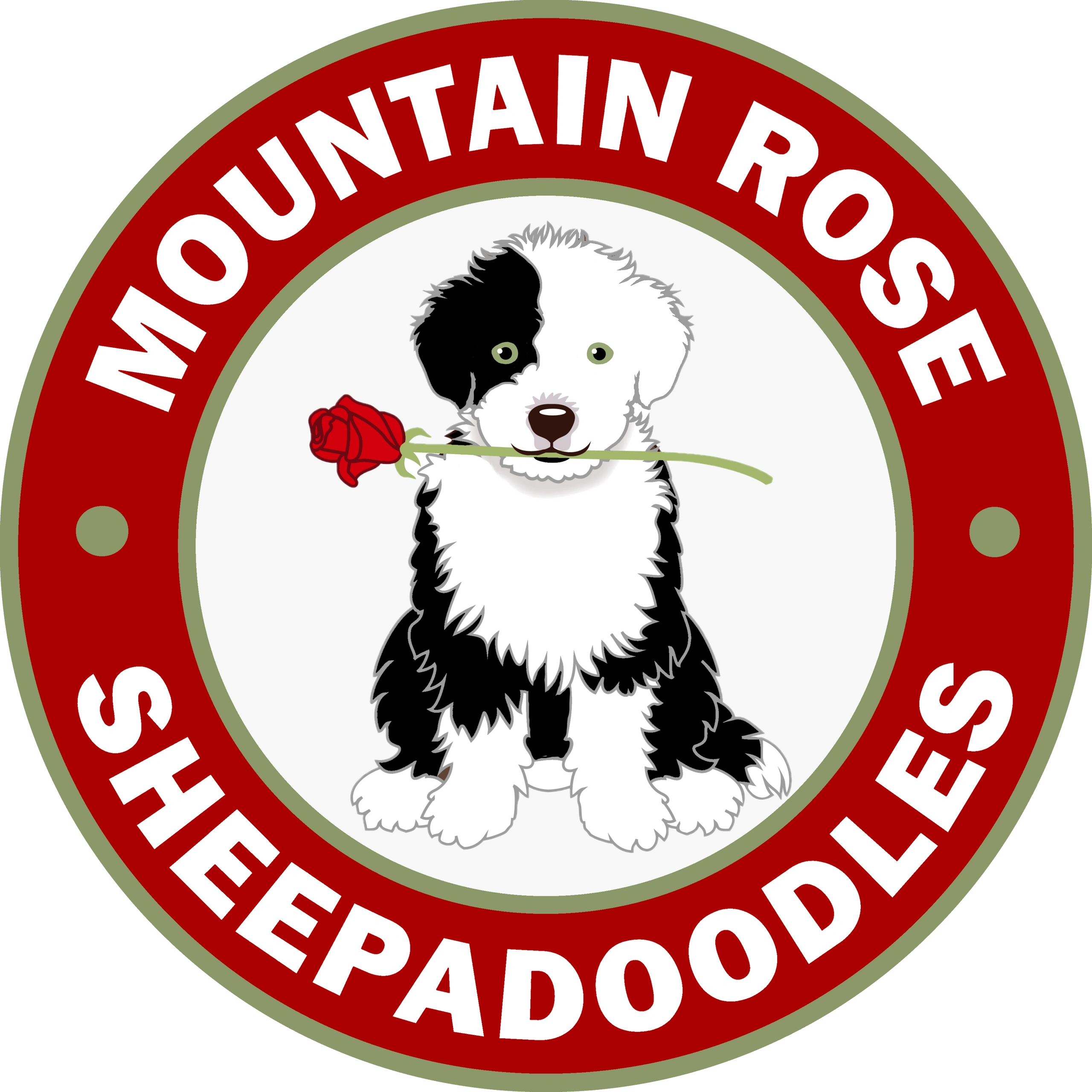 Standard Poodle Origin and History