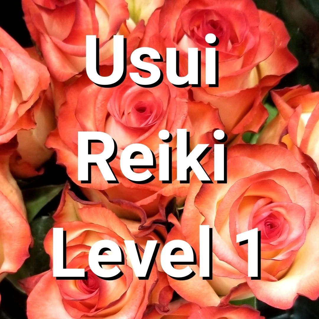 Usui Reiki Level 1 Class*