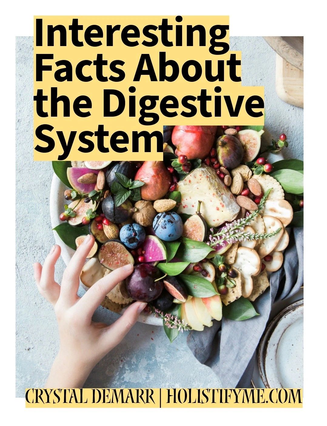 Interesting Facts About the Digestive System