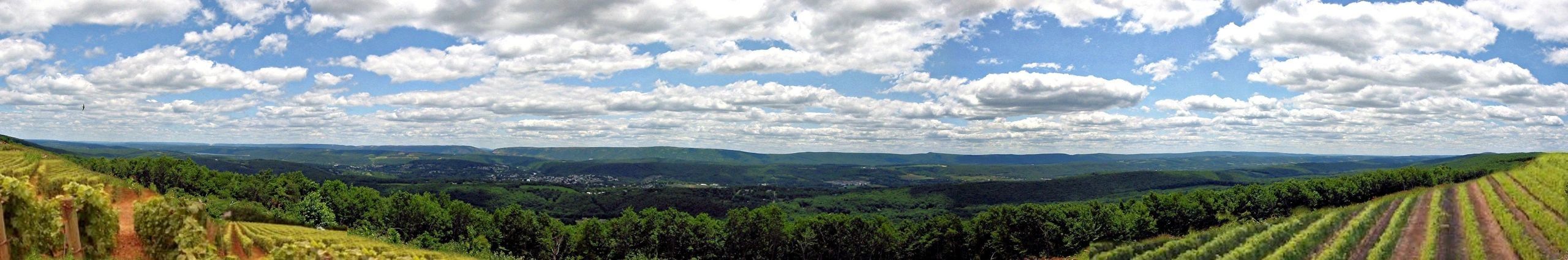 100 Mile View Camping