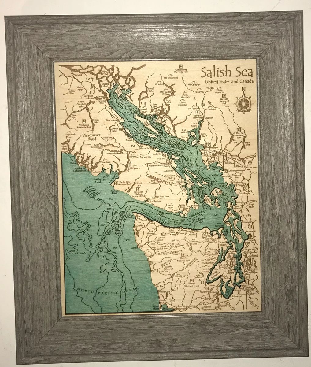 Salish Sea (Puget Sound) 8" x 10"