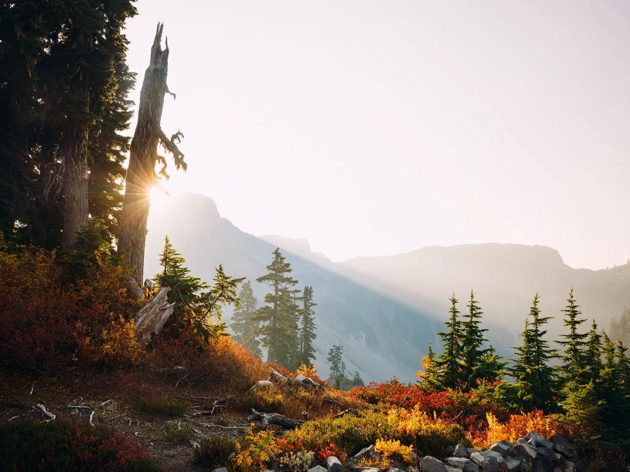 About Us | PNW Landscape & Design, Inc.