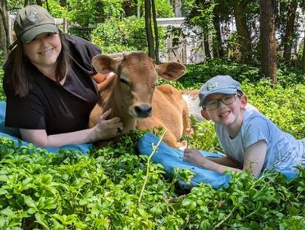 Private Sessions | Rose Bridge Farm & Sanctuary