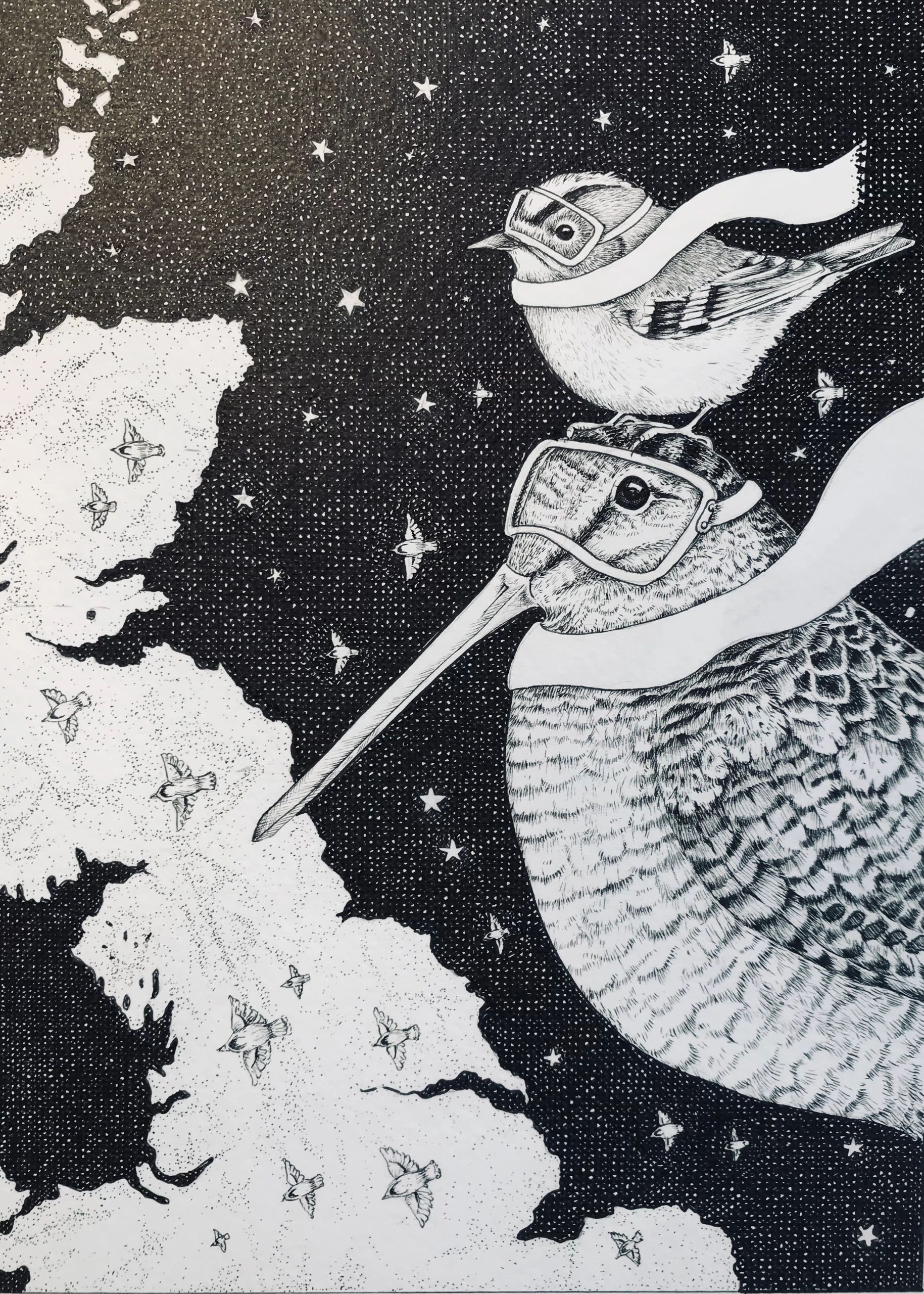 Artist - Jenny Wren Draws