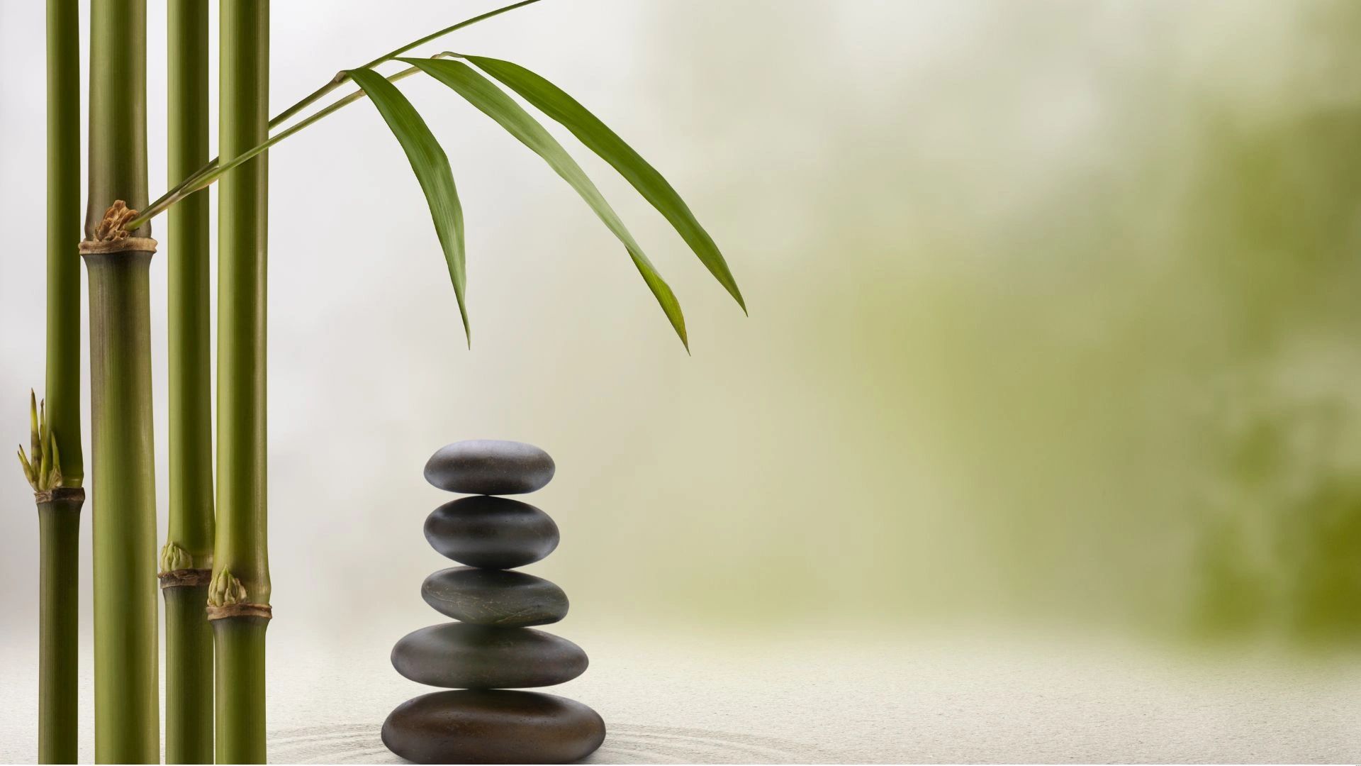 Massage Therapy for Restoration and Balance at Grace