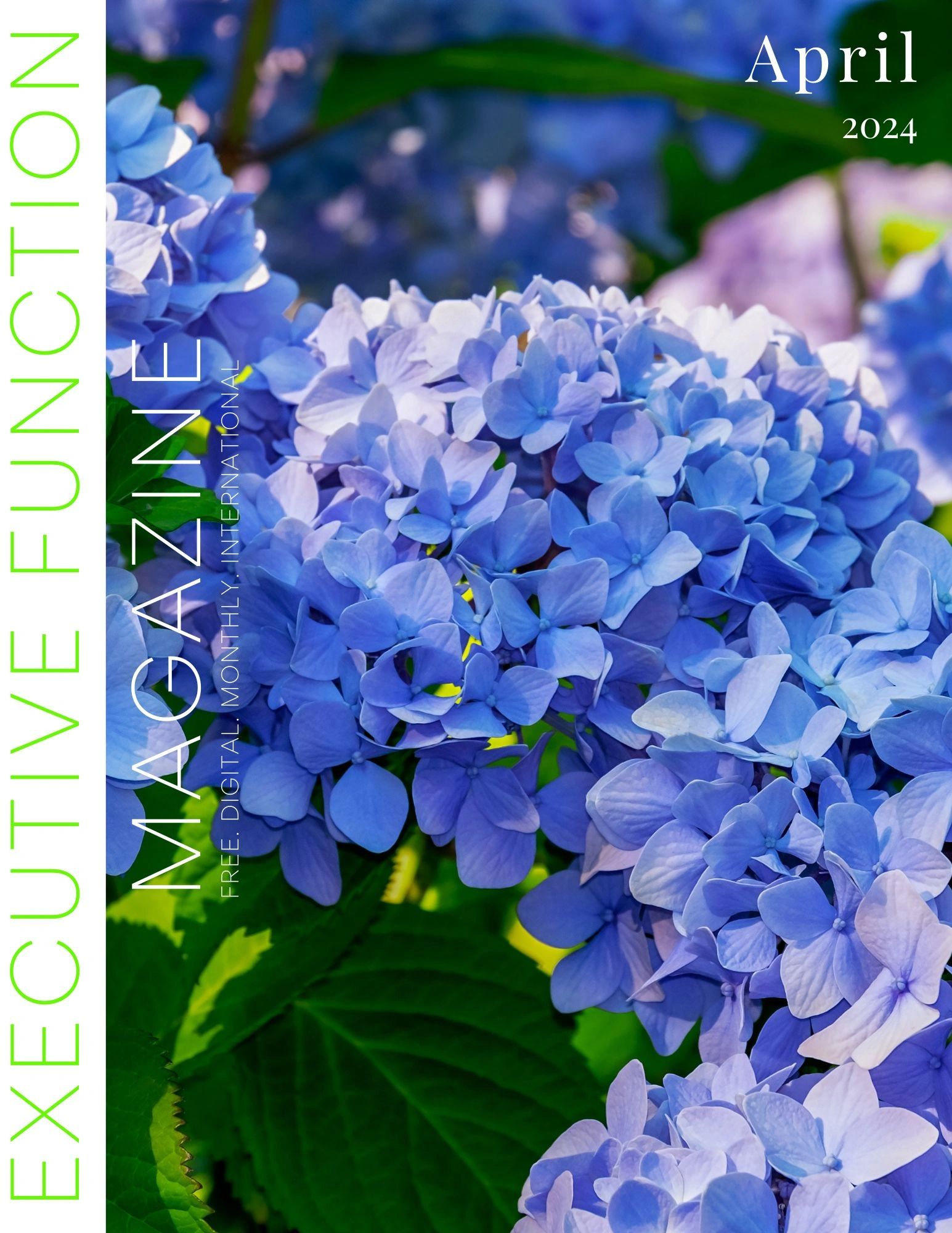 ExecutiveFunctionMagazine