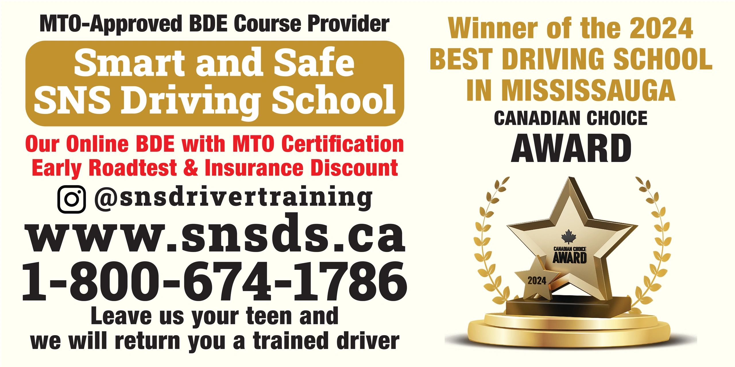 Driving Lessons - Professional Driver Training