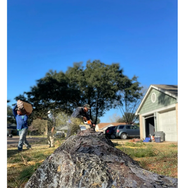 Valle's Tree services LLC