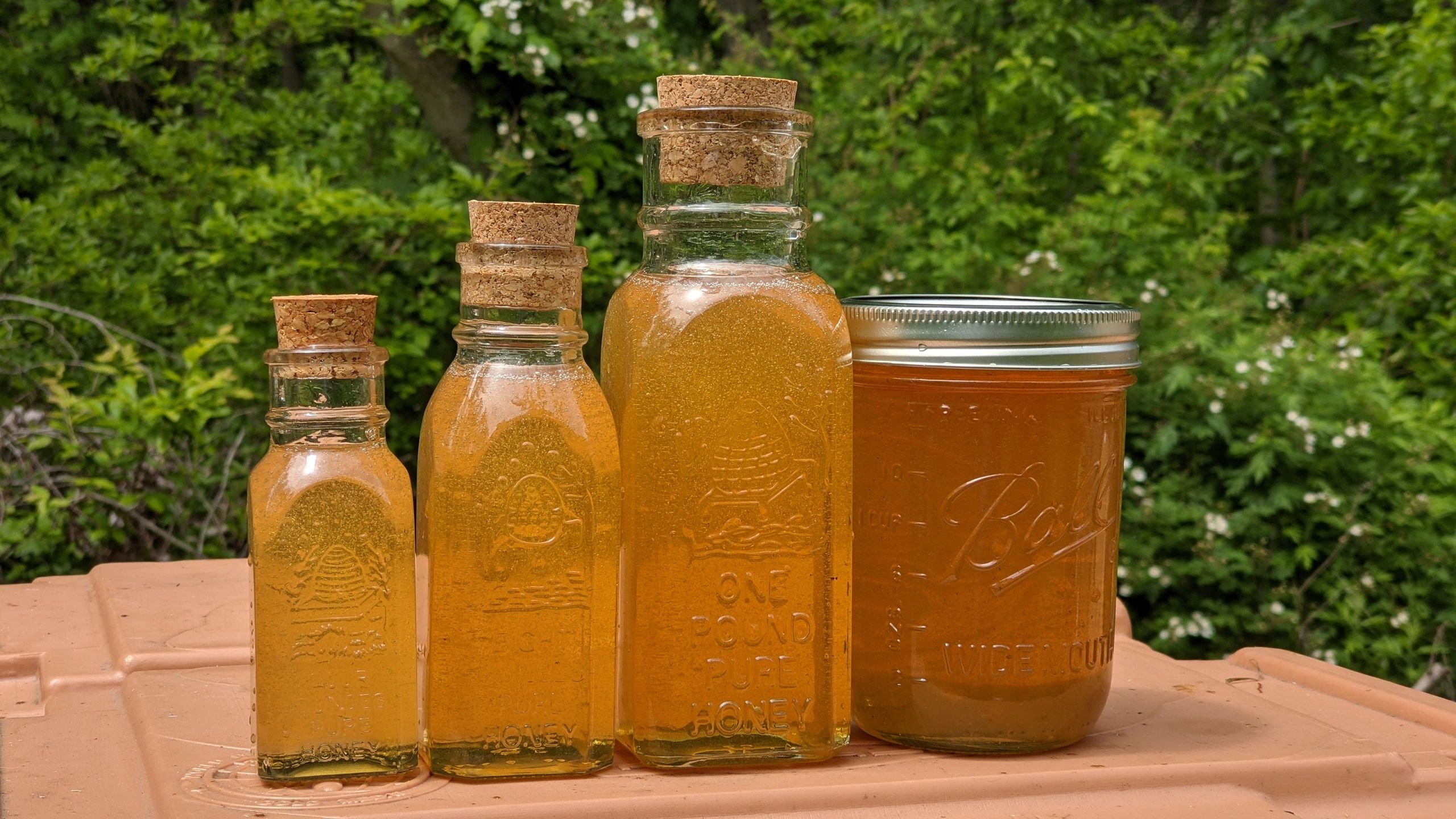 Spring Honey Available
