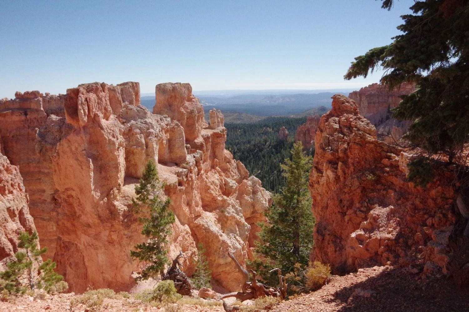 Deer Springs Ranch LLC