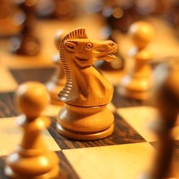 Studygascar - Chess, Math, Chess Camps, Math Camps