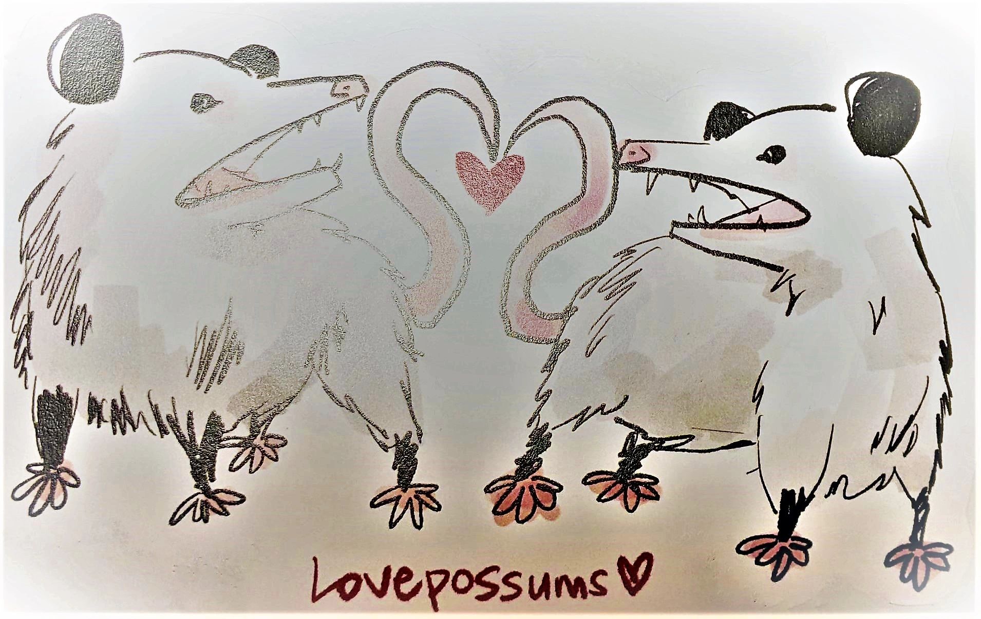 Awesome Possum Twosome