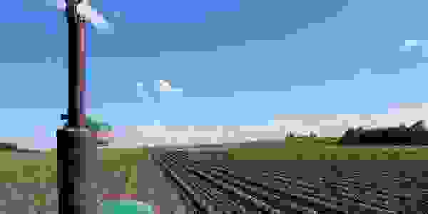 Wapsie Valley - Artesian Organic Farm