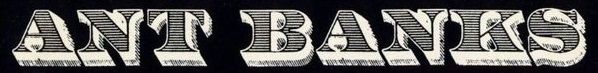 Ant Banks