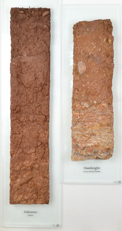 Soil Monoliths | Vineyard Soil Technologies