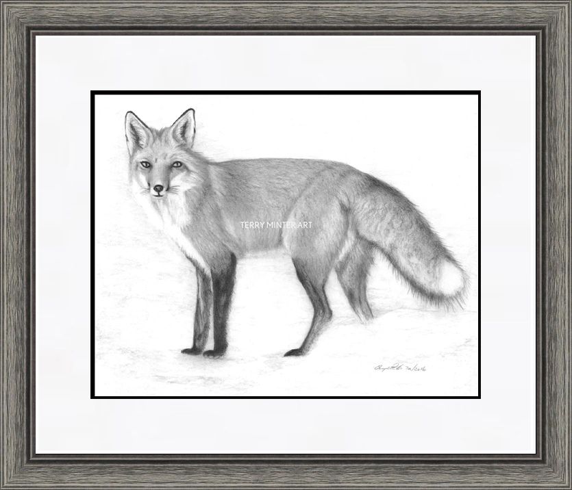 Wildlife Art - Terry Minter Wildlife Art