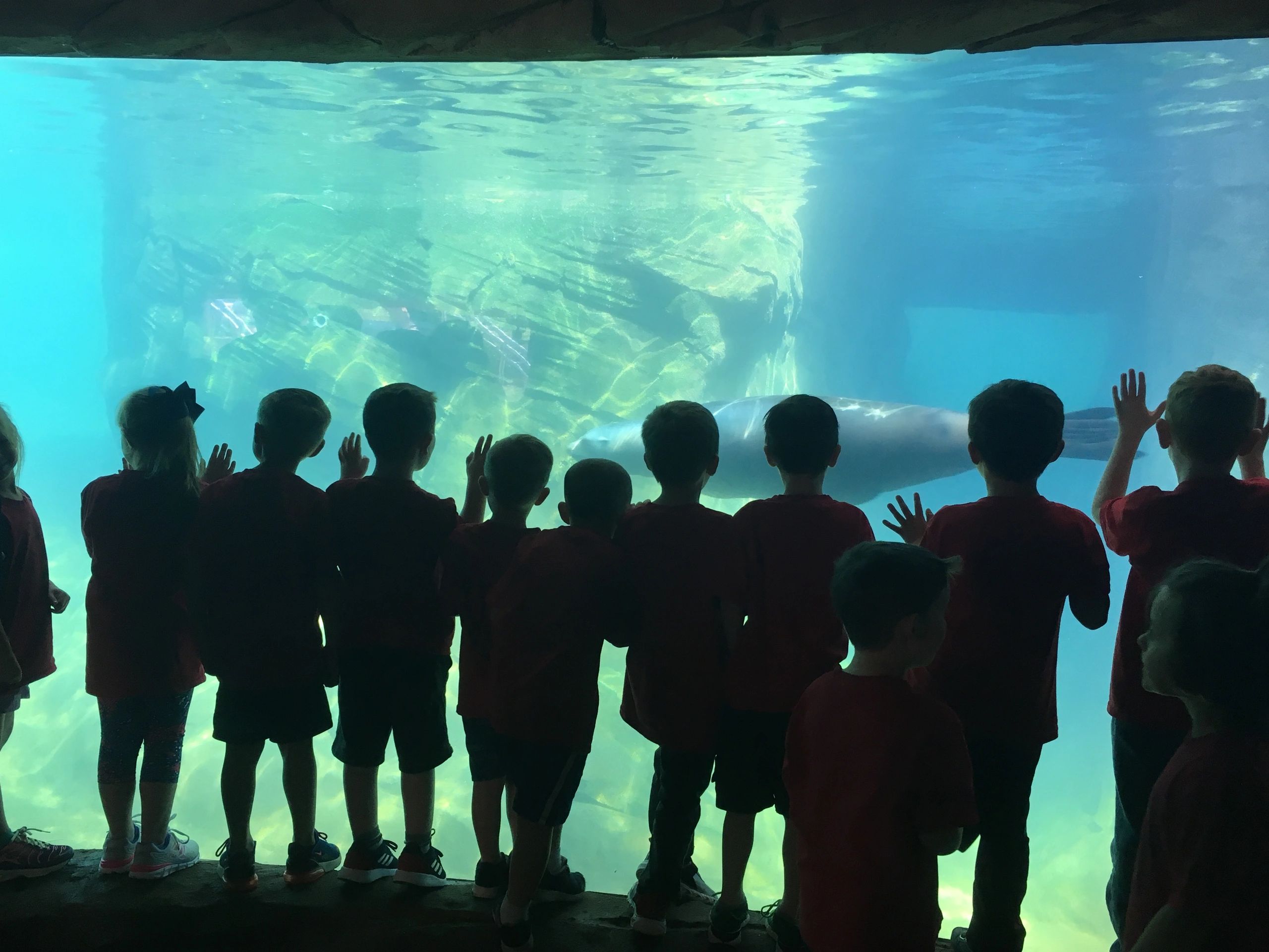 Lake Country Christian School - Private Christian School, Summer Camp