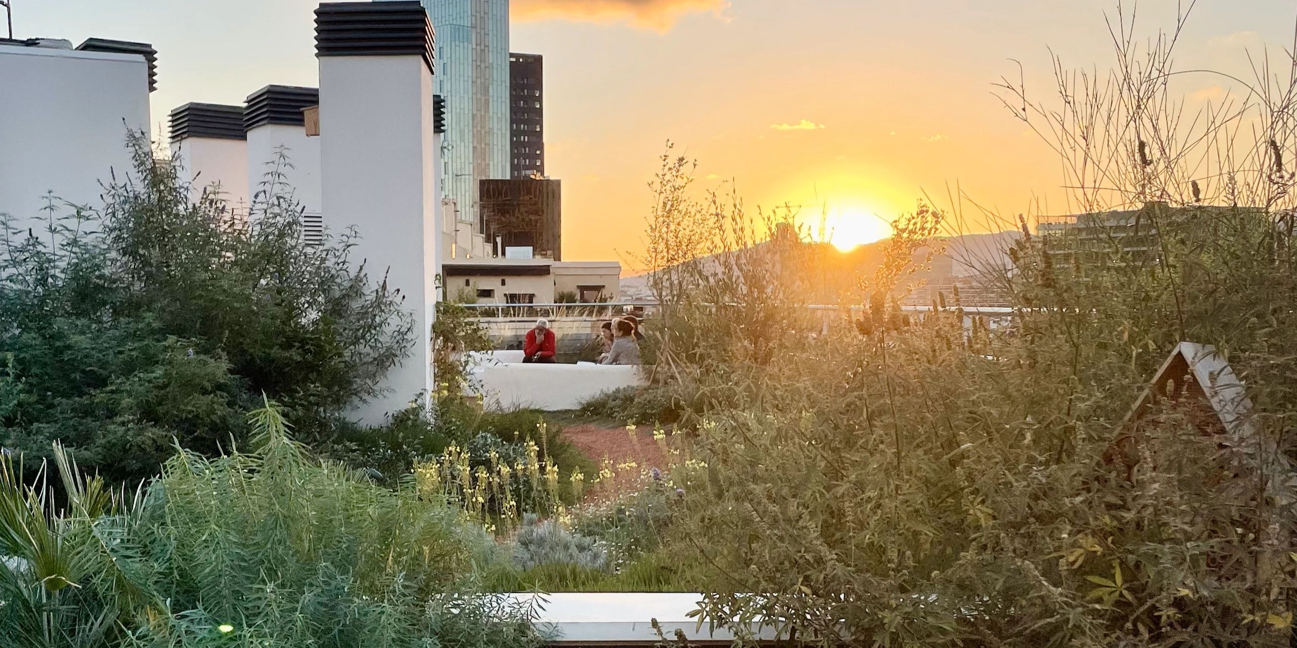 Cubiertas Verdes - ADDGREEN