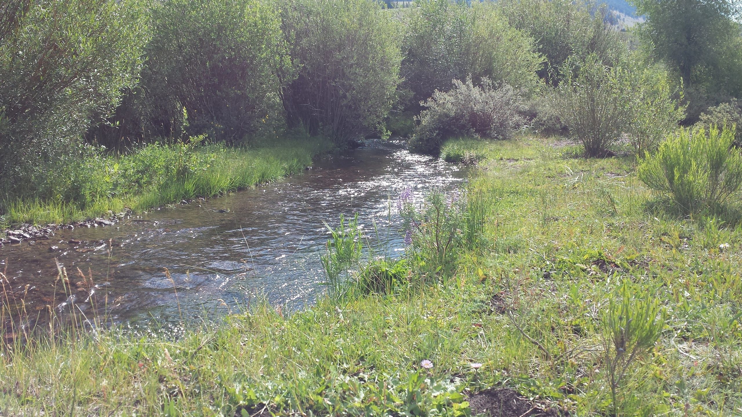 Thepowderhornclan - Powderhorn, Rendezvous, Historical Preservation