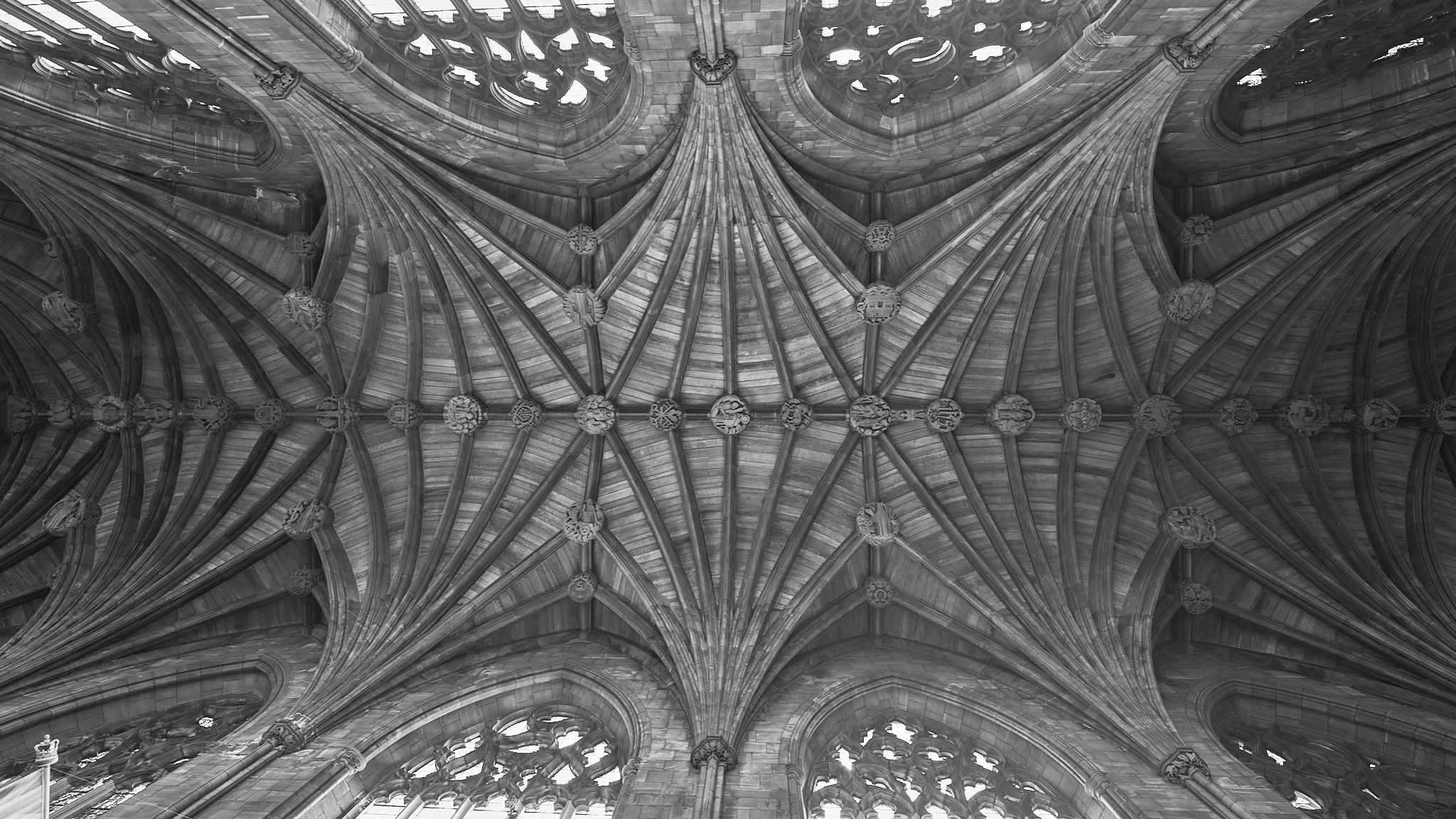 How does texturing work in photogrammetry software?