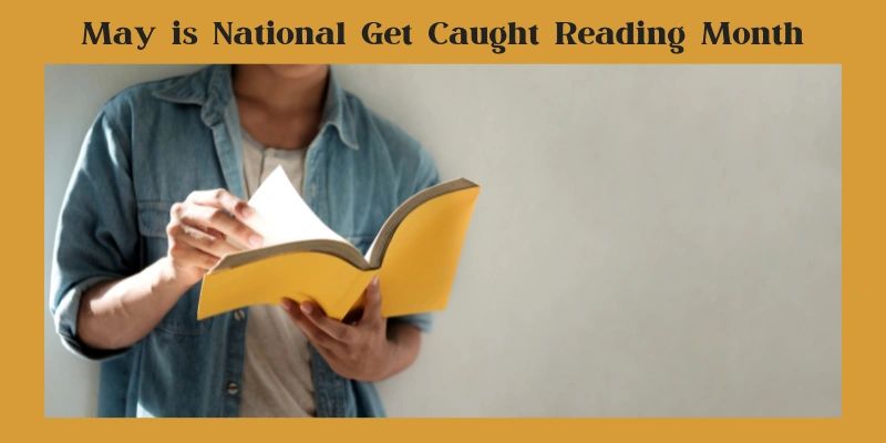 Holly Township Library - Library, Public Library, Library, Research