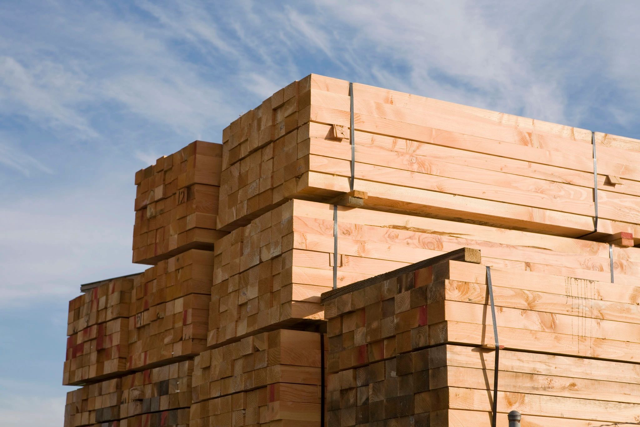 Quality Lumber Supplies - Timber Titans