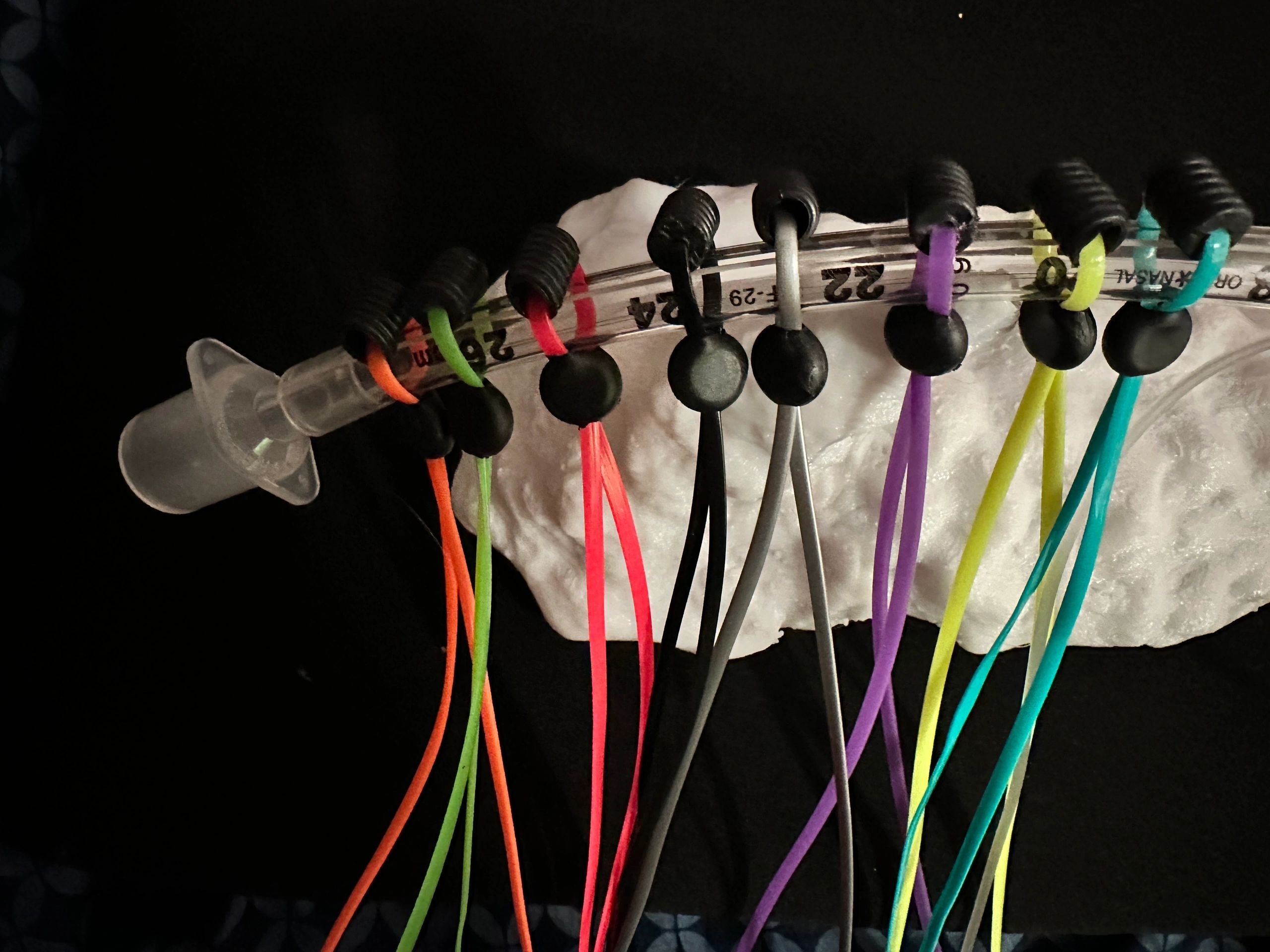 Endotracheal Tube Veterinary