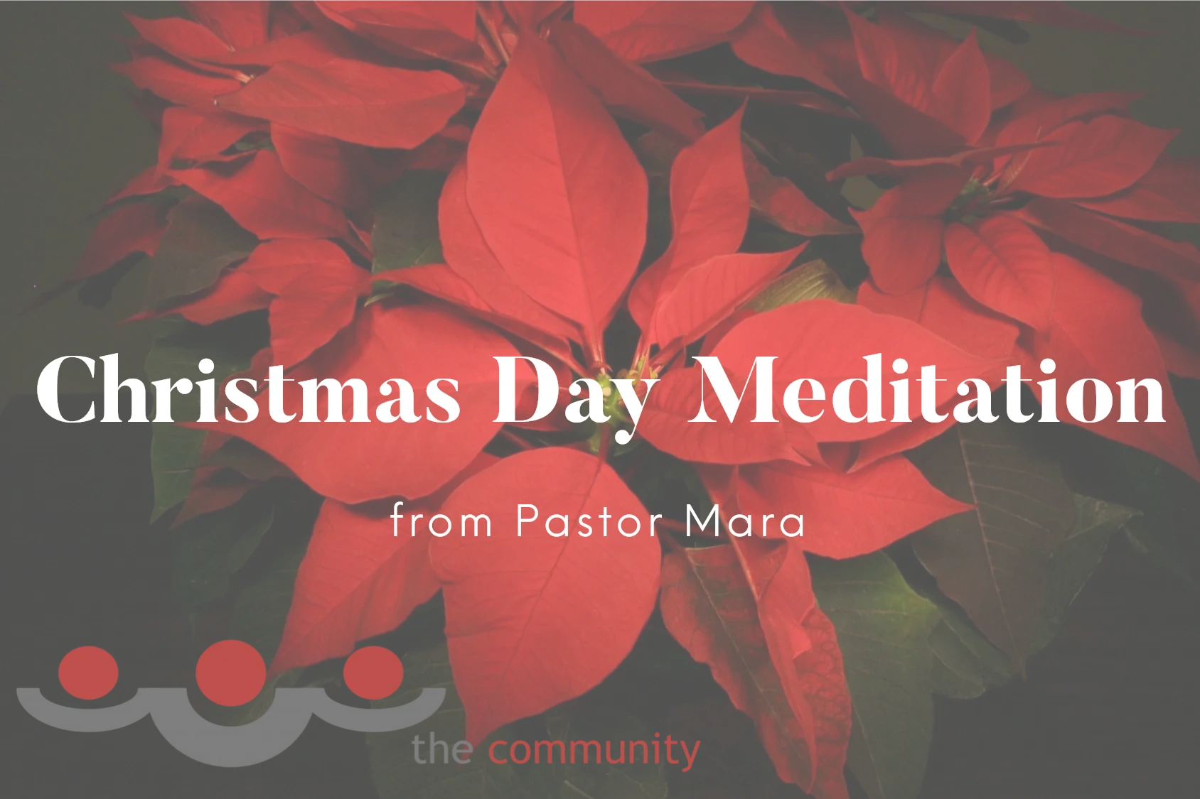 Christmas Day Meditation from Pastor Mara