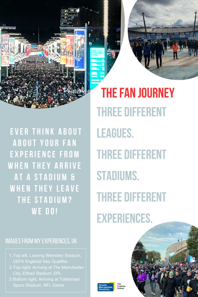 The Sport Fan Journey