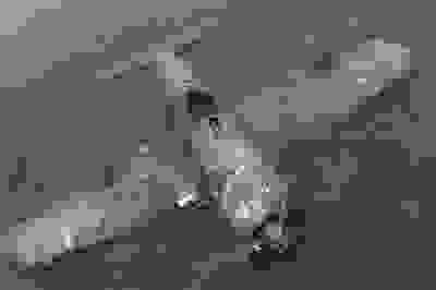 Walindi Plantation Resort - Kimbe Bay, Papua New Guinea | Walindi ...