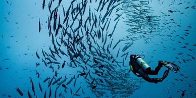 Walindi Plantation Resort - Kimbe Bay, Papua New Guinea
