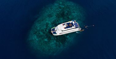 Walindi Plantation Resort - Kimbe Bay, Papua New Guinea