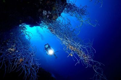 Walindi Plantation Resort - Kimbe Bay, Papua New Guinea | Walindi ...