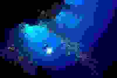 Walindi Plantation Resort - Kimbe Bay, Papua New Guinea | Walindi ...