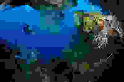 Walindi Plantation Resort - Kimbe Bay, Papua New Guinea | Walindi ...